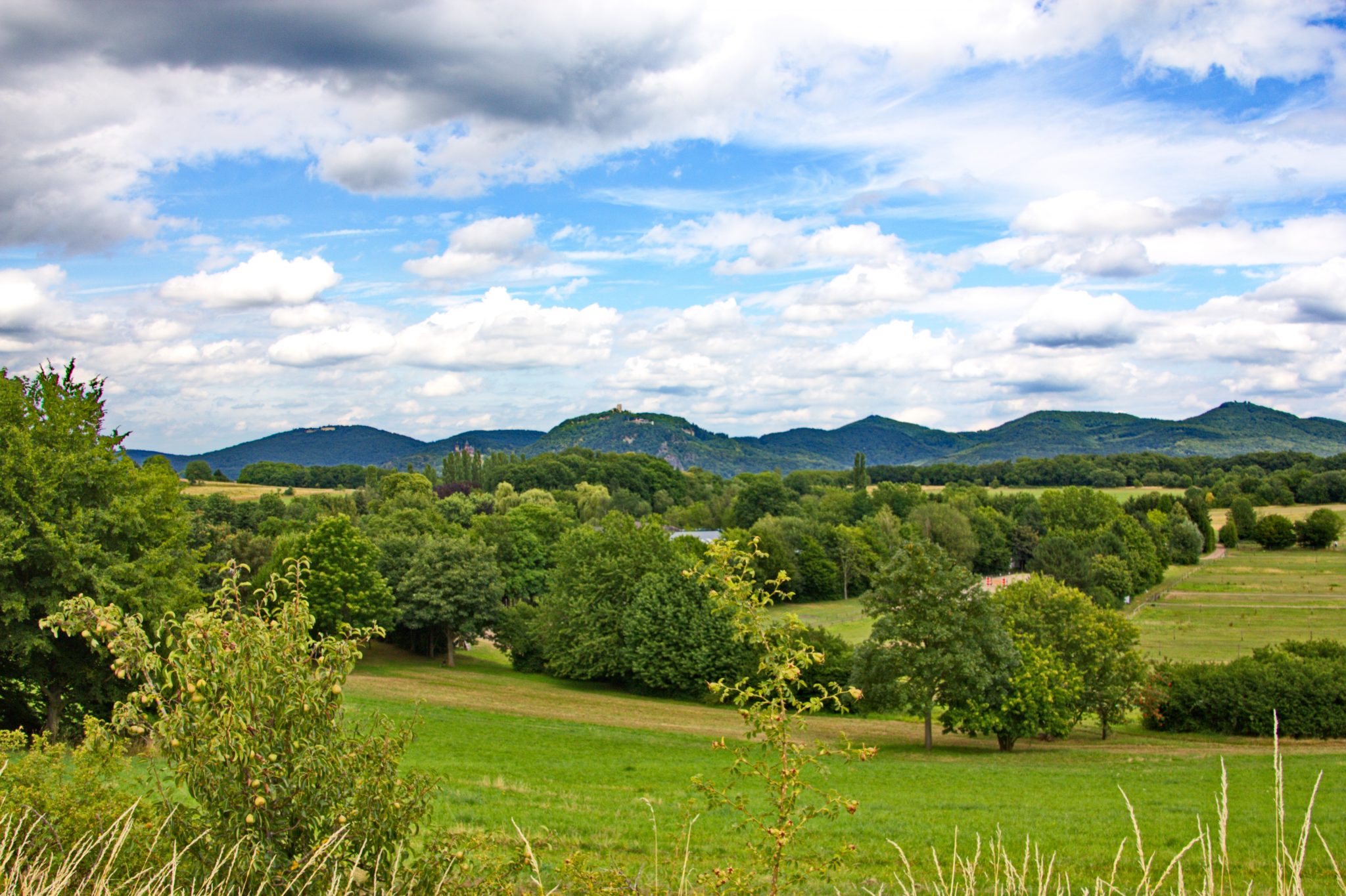 Auf dem Rodderberg – Expedition Rheinland