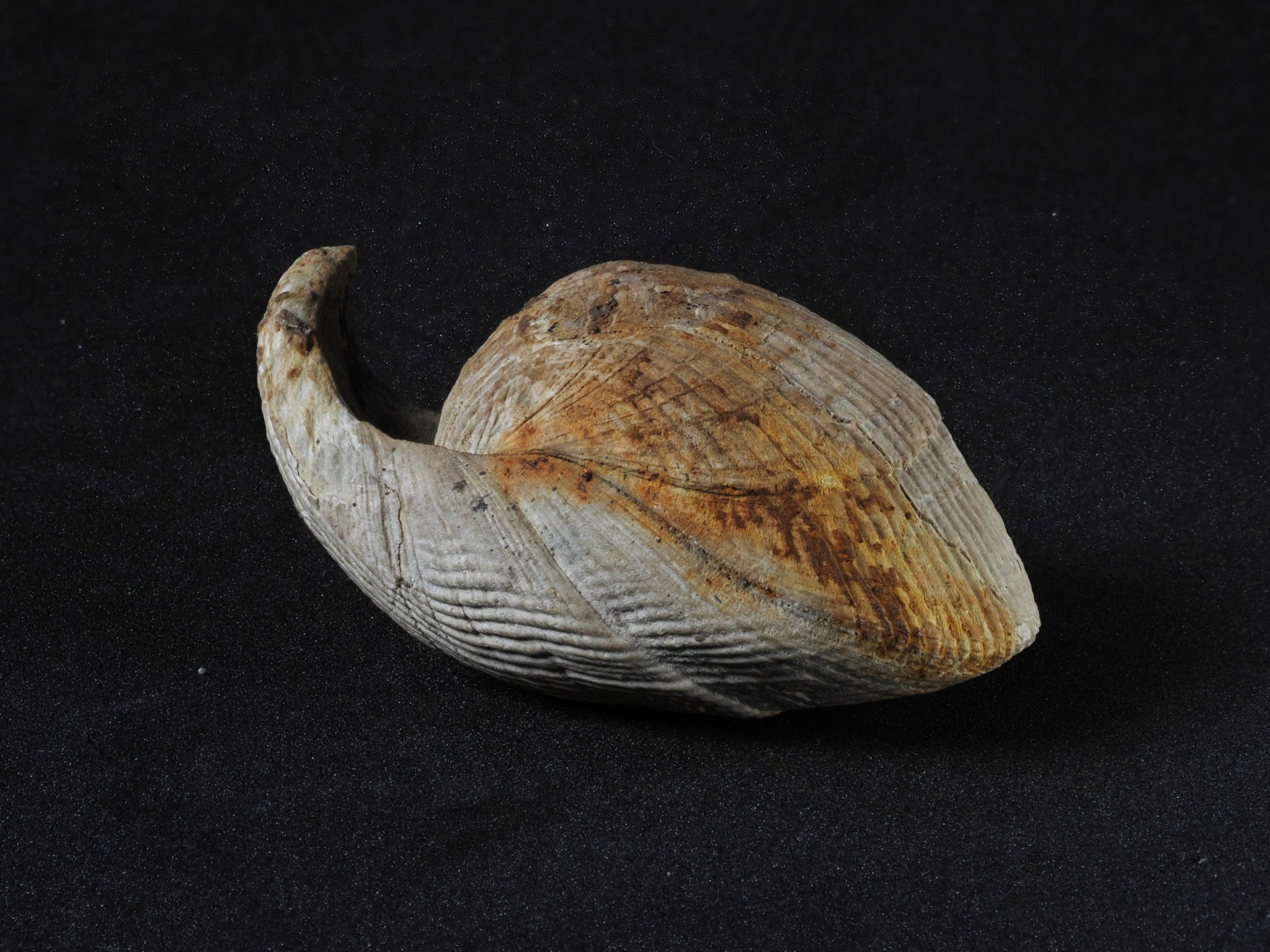 Die Bergisch Gladbach-Paffrather Kalkmulde – Expedition Rheinland